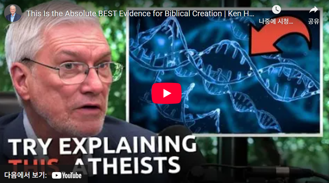 DNA와 생명체 정보가 증명하는 창조주 하나님의 존재 – 창조론 vs 진화론 과학적 증거 총정리 - TILNOTE